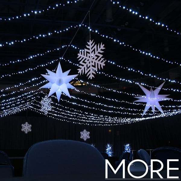 2d Snowflakes 50cm - More Production Ltd