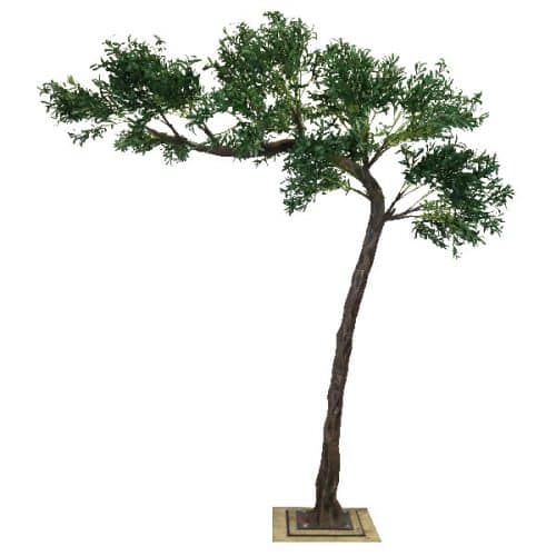 3.2m Canopy Olive Tree - More Production Ltd