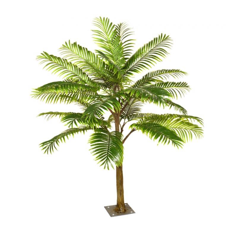 6ft Palm Tree - More Production Ltd