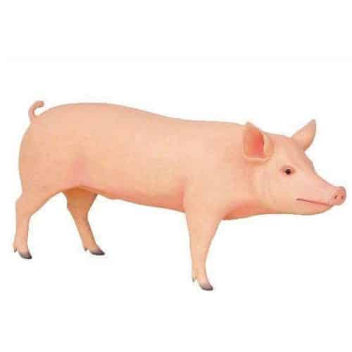 Pig | More Production Ltd